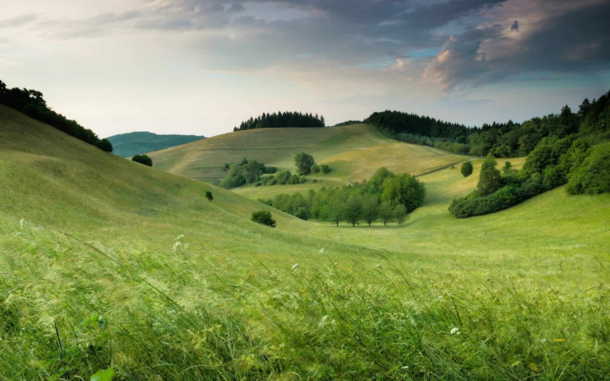 Homepage - Sports for nature