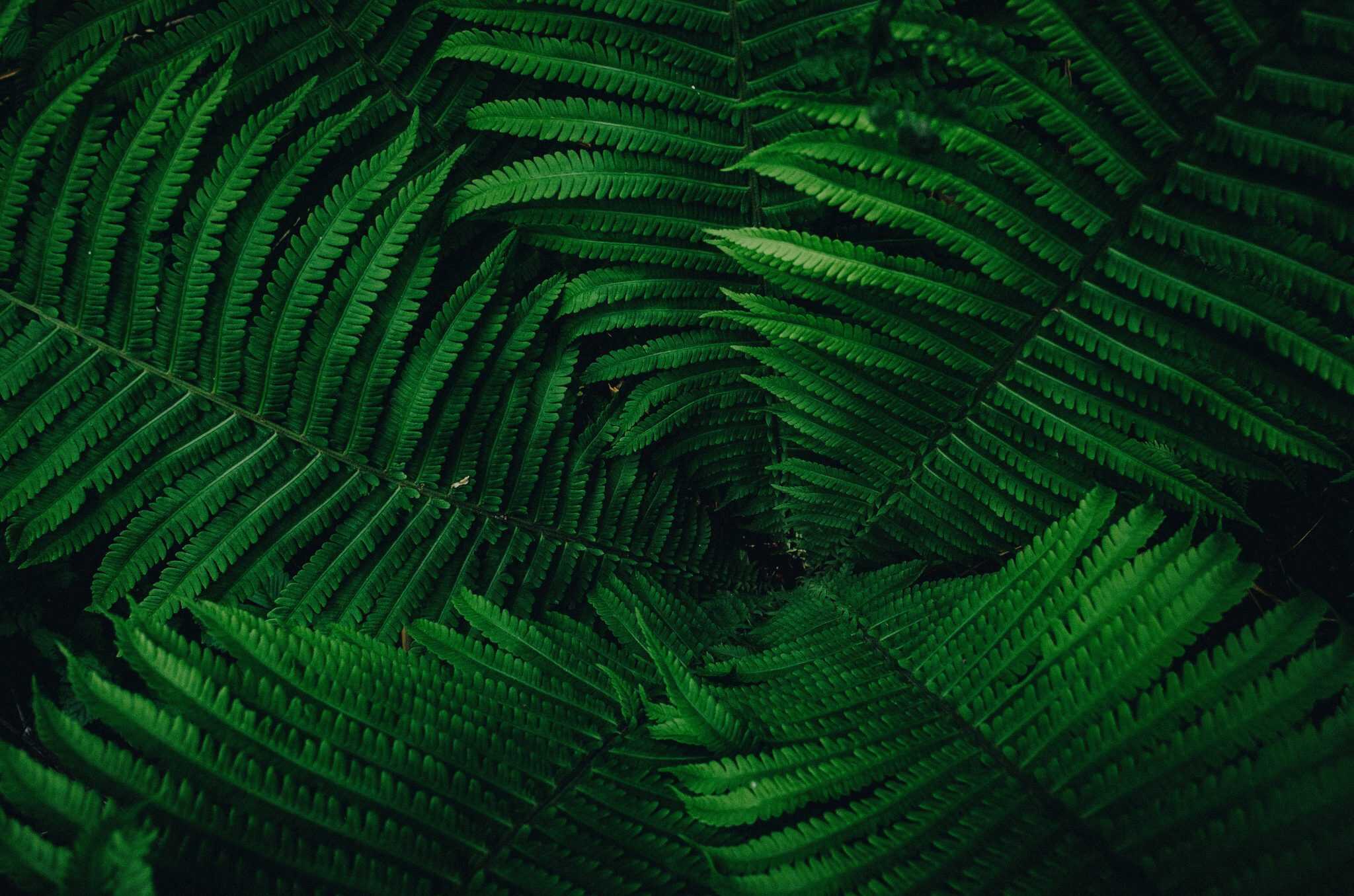 Homepage - Sports for nature